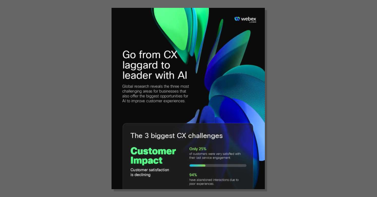 CX-Research Maturity Model Infographic