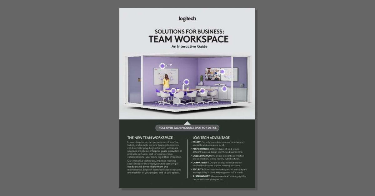 Solutions for Business: Team Workspace, Interactive Guide