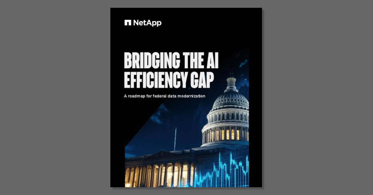 Bridging the AI Efficiency Gap